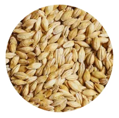 Malting Company Ireland | Genuine Irish Malts