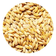 Our Malts | Malting Company Ireland | Genuine Irish Malts